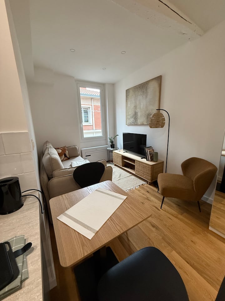 Le Nid Douillet De La Colombette - Toulouse