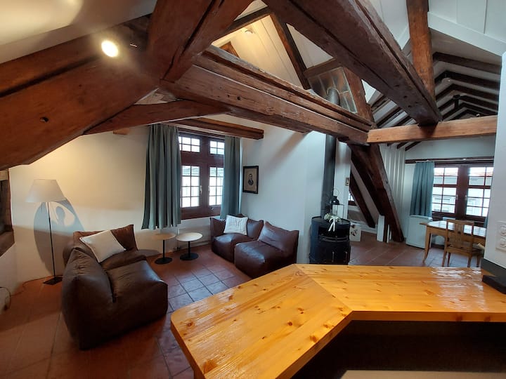Stilvolle Wohnung, Historischer Charme/altstadt - Saint-Gall