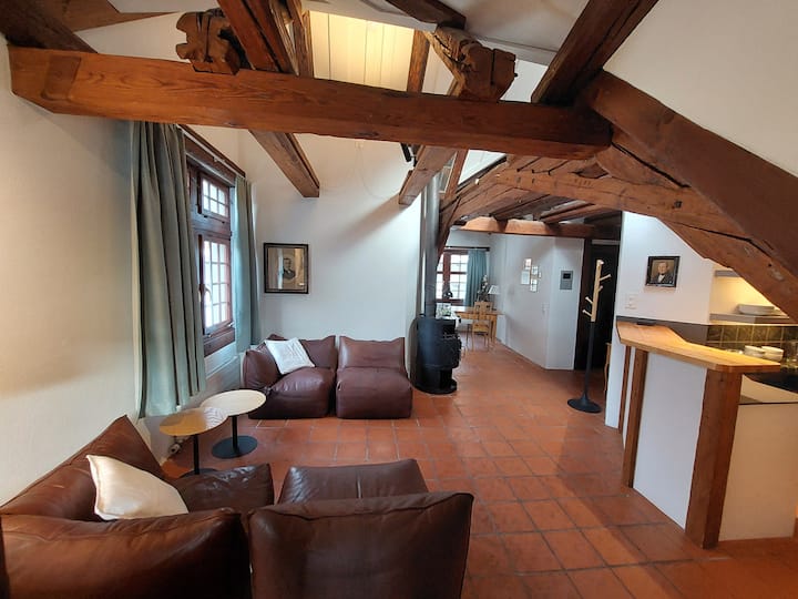 Stilvolle Wohnung Mit Einmalig Historischem Charme - St. Gallen