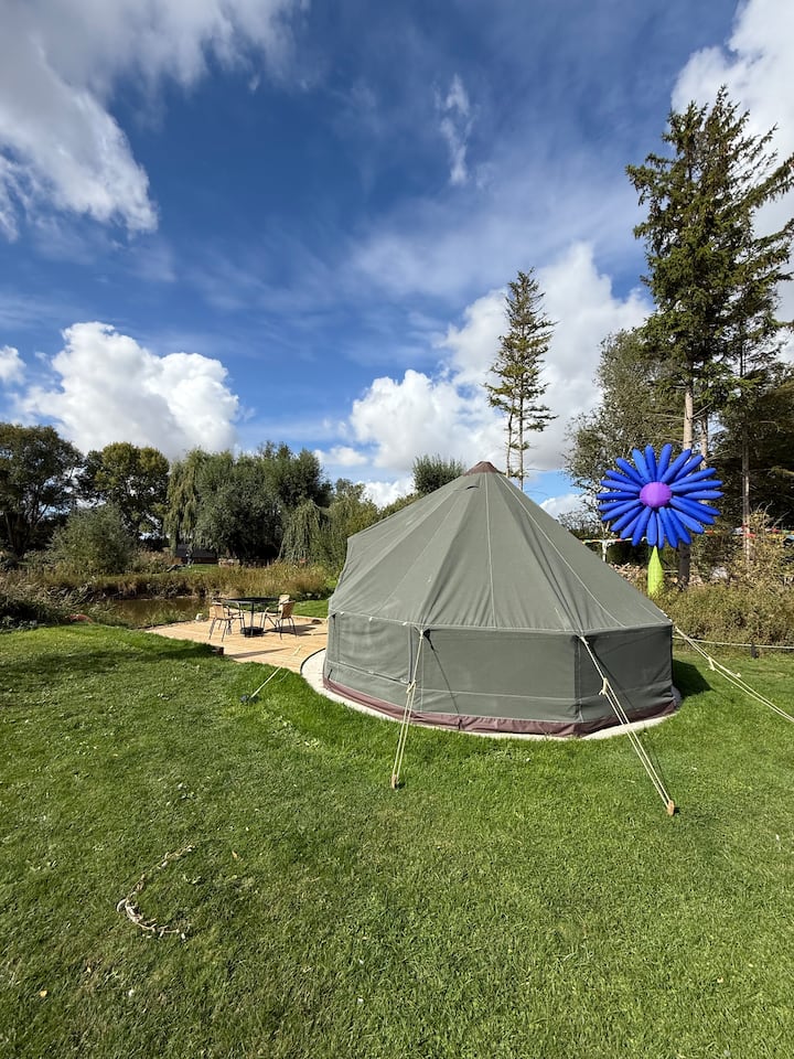 The Quirky Carp - Stanstead