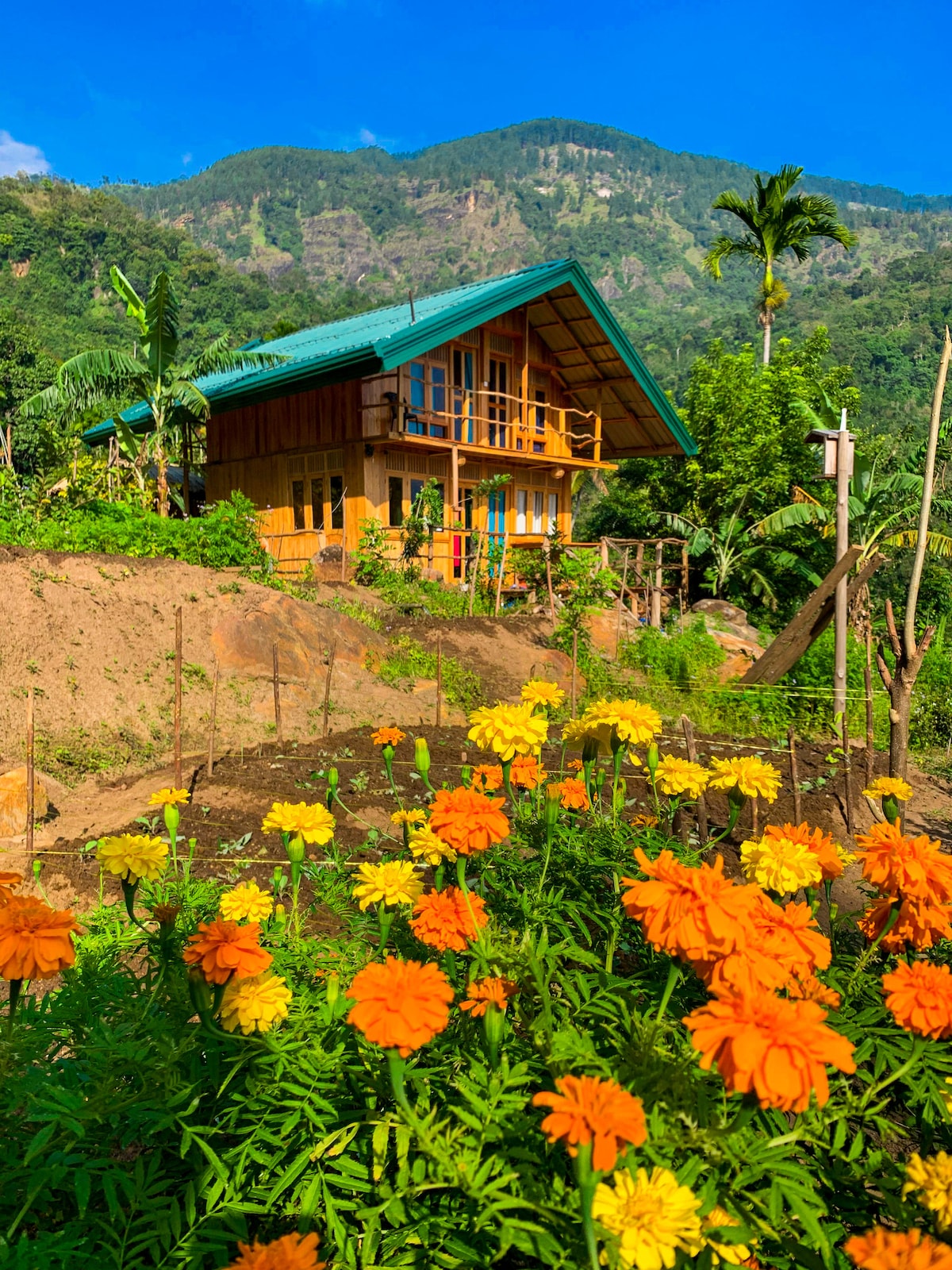 Vista de 360° de la casa de madera - Casas en renta en Ella, Uva ...