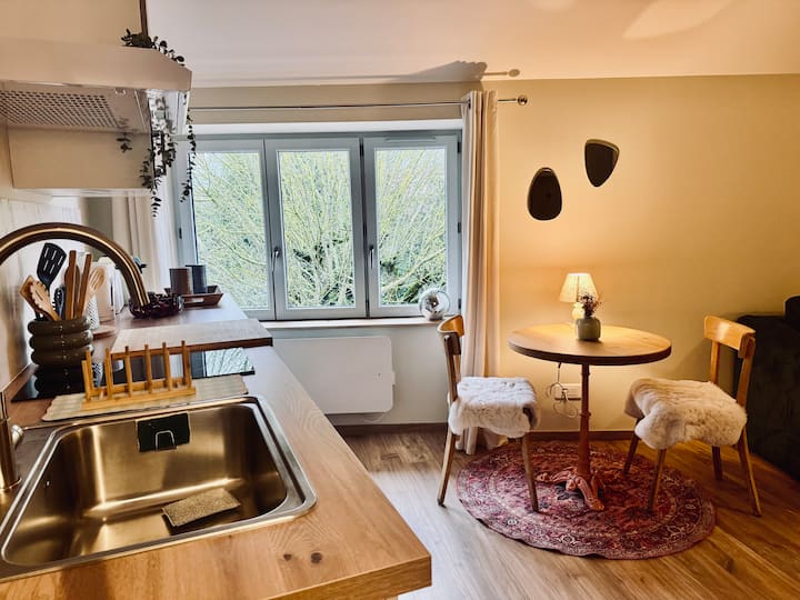 Le Studio Des Apothicaires Hypercentre Paray. - Paray-le-Monial