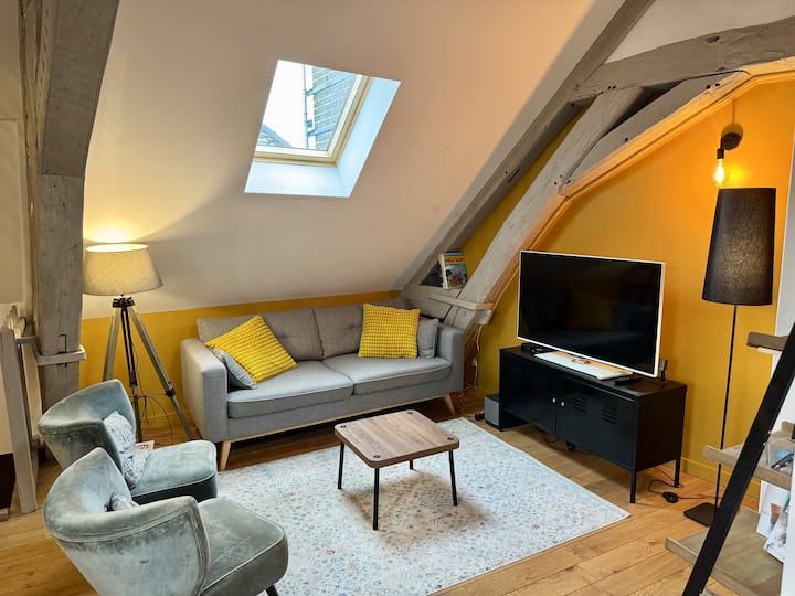 Le Refuge De Troyes - Séjour Cosy En Hypercentre - Troyes