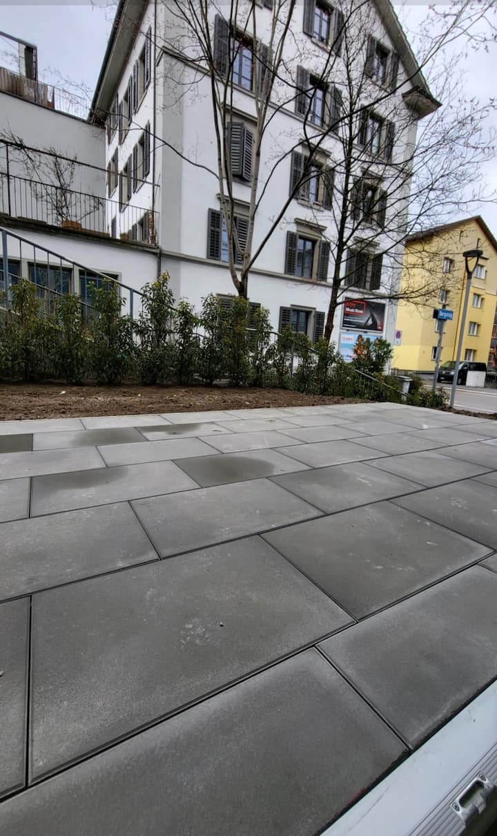 Bright City Apartment With Terrace In Zürich - Zurich