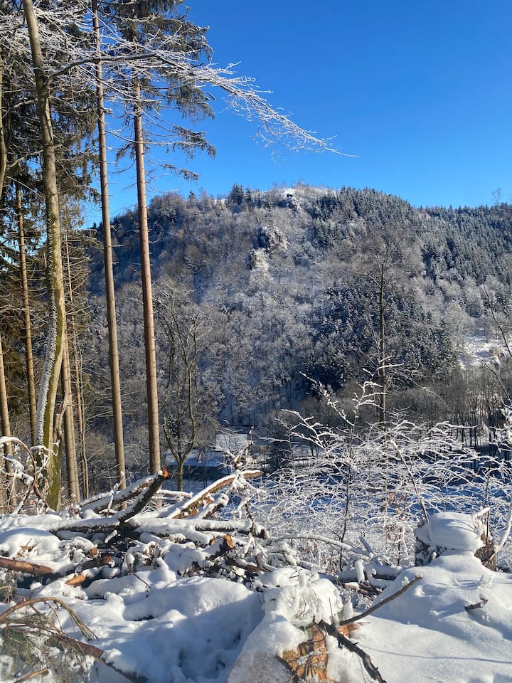 Ferienwohnung Mit Bach Und Wald - Bad Tabarz