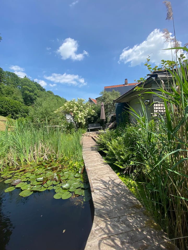 Ferienwohnung Mit Bach Und Wald - Waltershausen