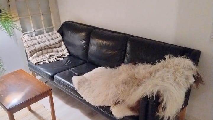 Lejlighed Tæt På Aarhus C Og Bussen Lige Ved Døren - Aarhus