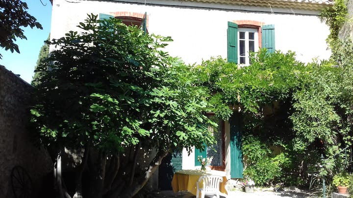 à L'ombre Du Figuier - Malaucène