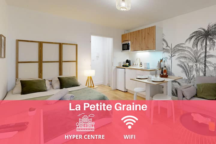 Expat Renting - La Petite Graine - Central - Wifi - Toulouse