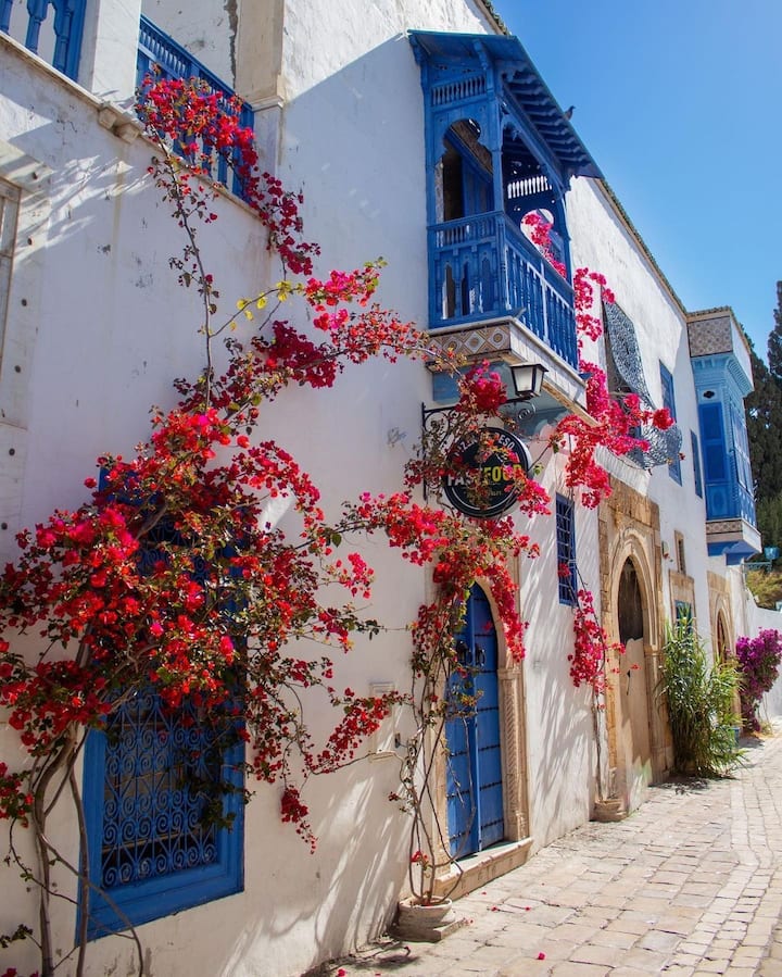 Maison Lella Kmar Sidbousaid - Sidi Bou Saïd