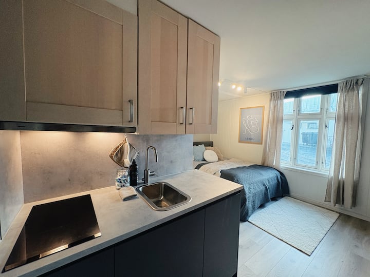Cosy Studio In The Heart Of Bergen - Bergen
