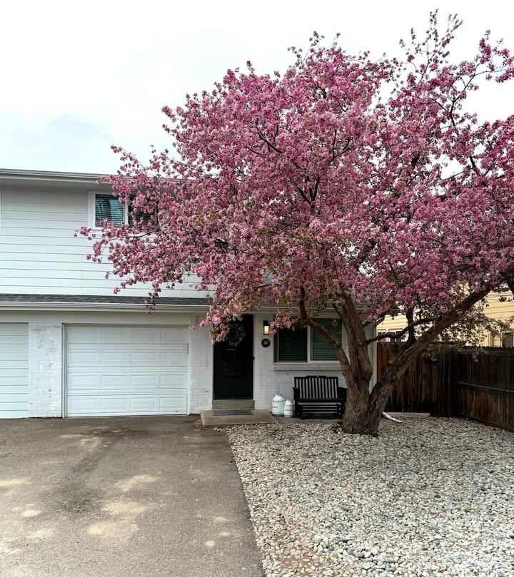 Red Rocks Retreat • 15 Min • Yard + Fire Pit - Lakewood, CO