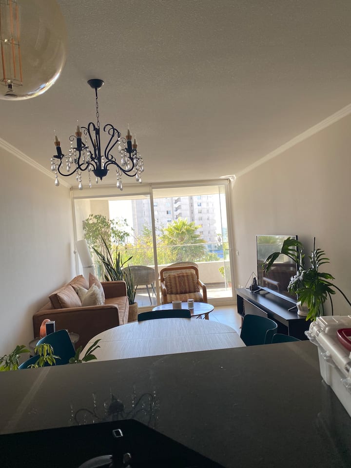 Sol, Playa Y Relax En La Serena. - La Serena