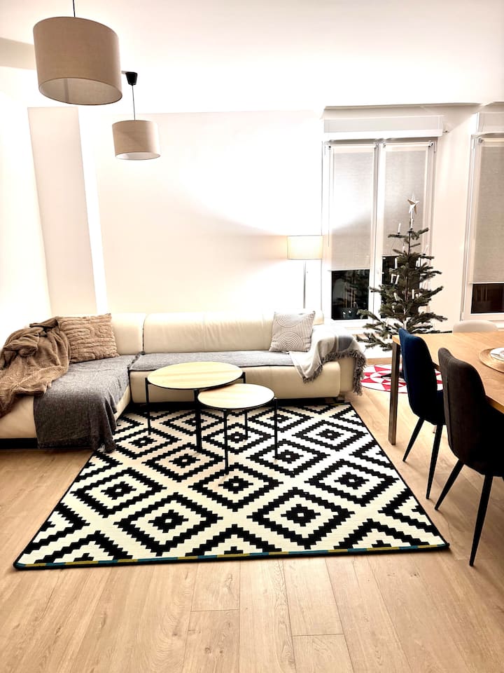 Appartement De 70 M² à 250 M De La Place Centrale - Strasbourg