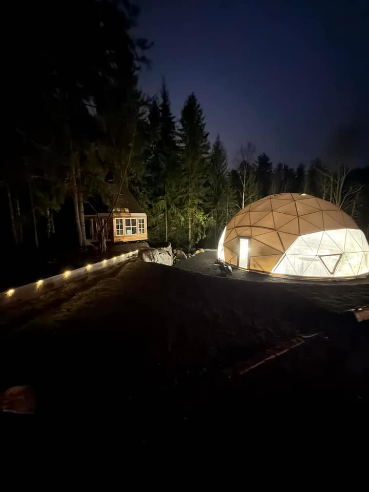 The Forest Dome – Nordic Event Space In Nature - Oslo