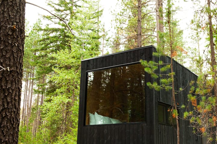 1 Bed Cabin - Postcard Cabins Asheboro - North Carolina Zoo, Asheboro