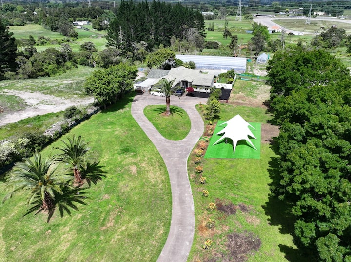 Dream-world - Acres Of Land - With Gigantic Canopy - Parakai