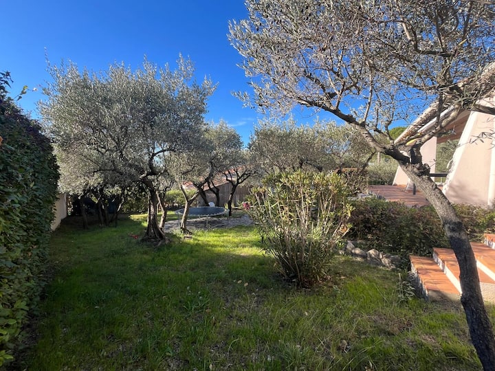 Villa L’olivaie - Nîmes