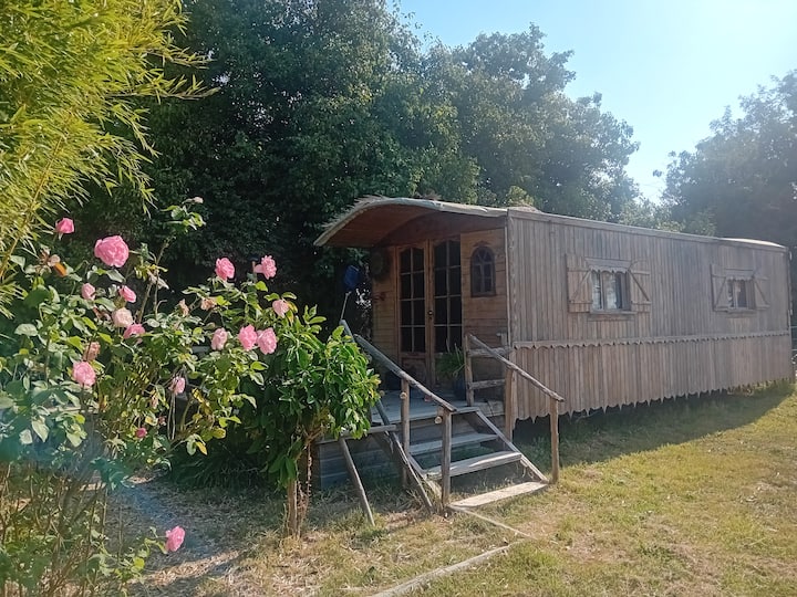 "La Boumiane"
Roulotte Camarguaise - Lunel
