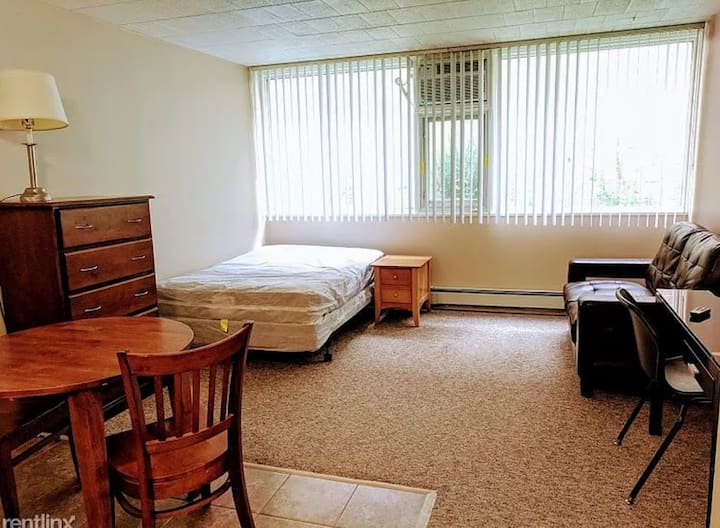 Cozy Downtown Apartment - Ann Arbor, MI