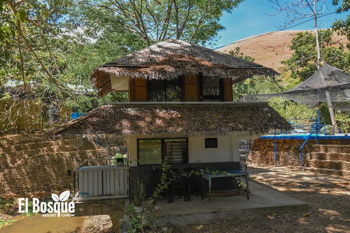 4 Bed Female Dorm Room - Coron