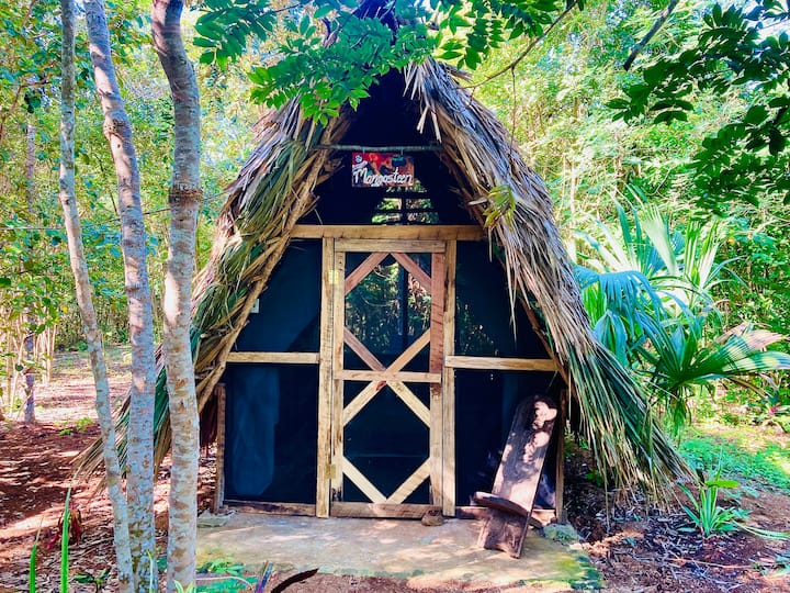 Serine And Nestled In Nature, (Mangosteen House) - Corozal, Belize