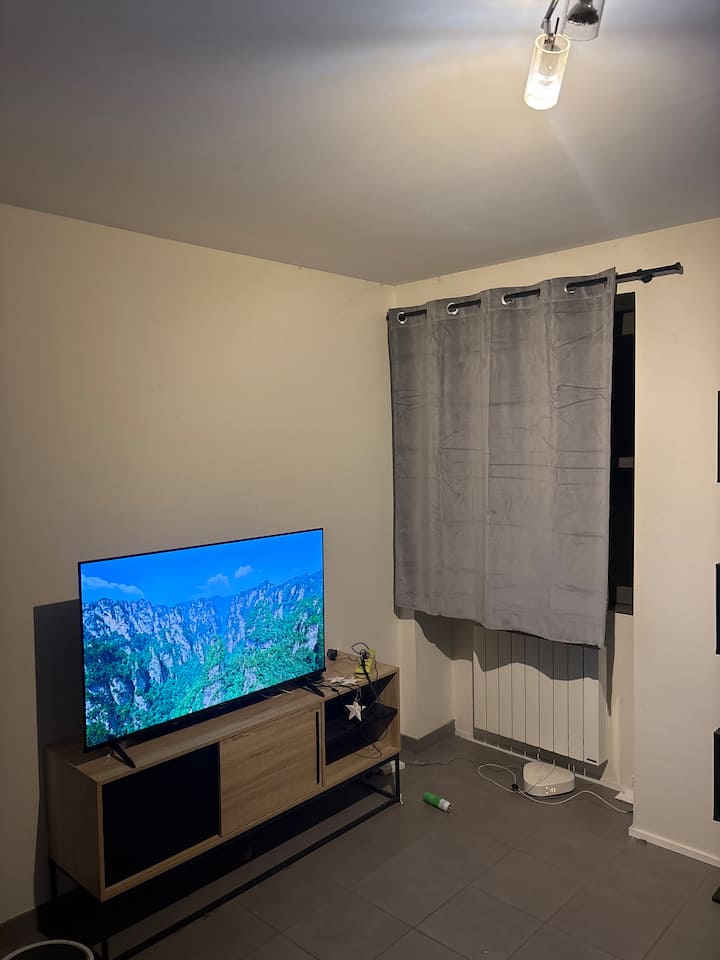 Appartement 3 Pièces En Plein Centre-ville - Bourg-en-Bresse