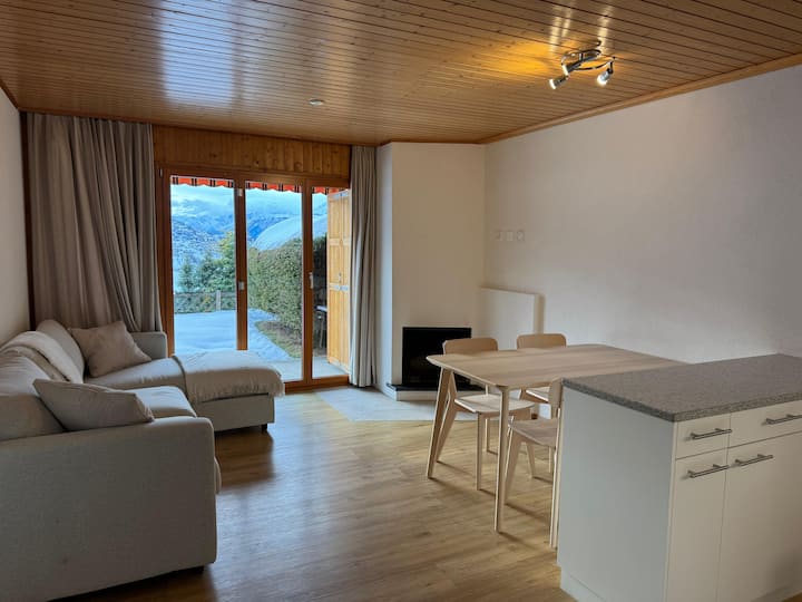 Refuge Alpin Avec Jardin Privé Et Magnifique Vue - Veysonnaz