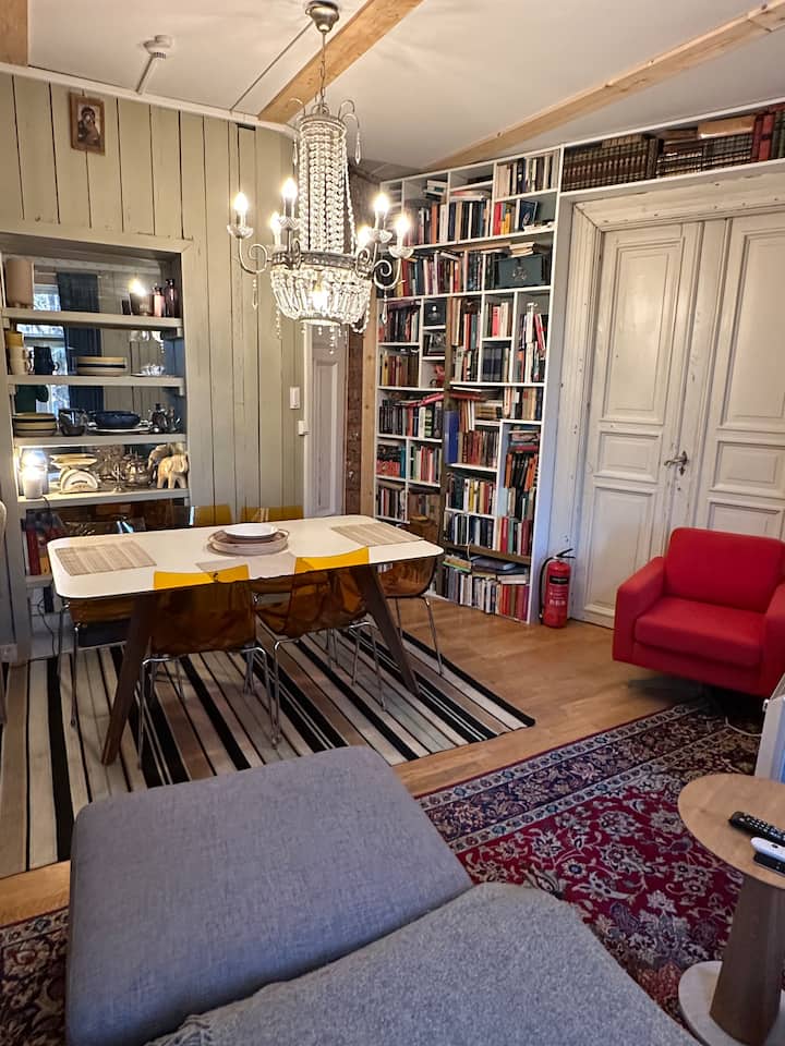 Sentralt I Oslo Sentrum - Oslo