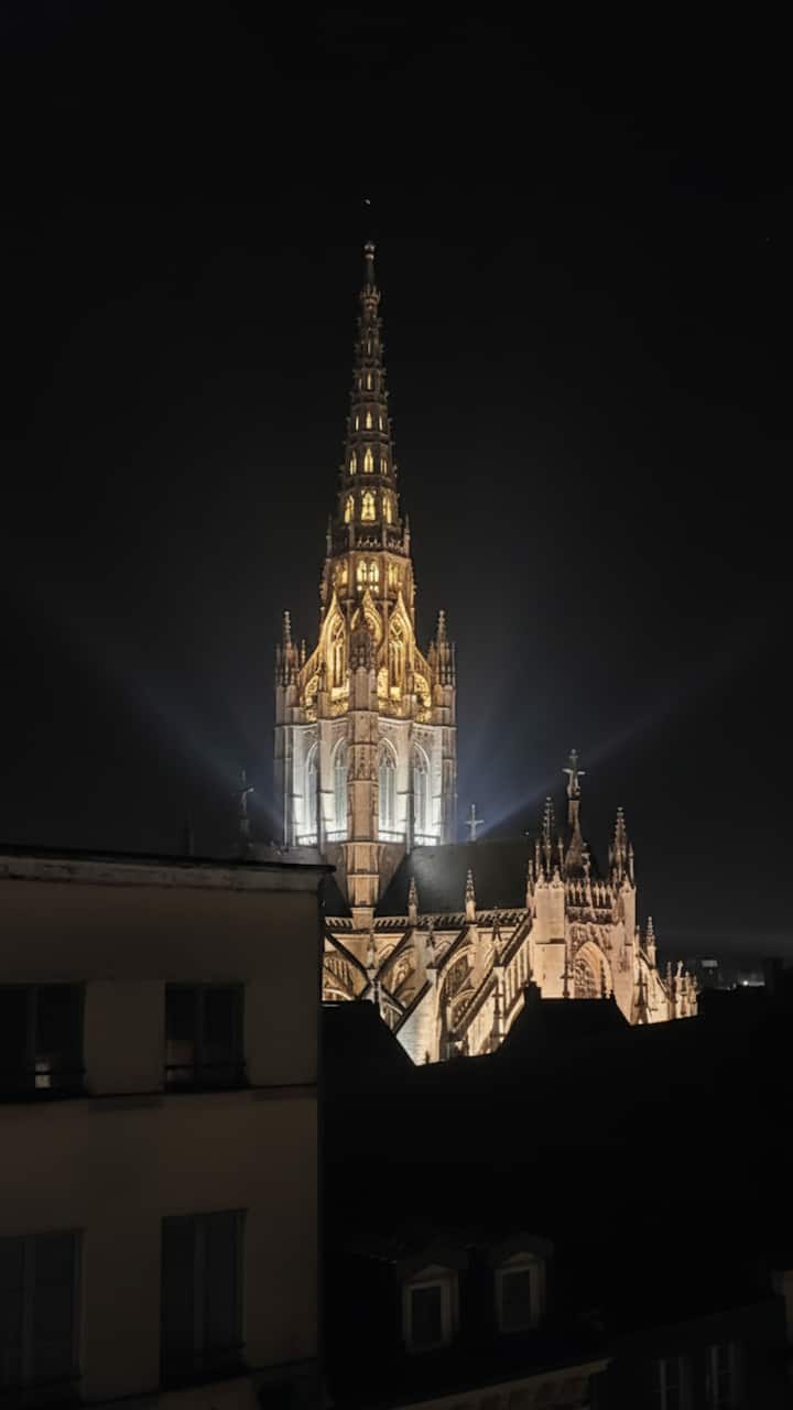 Cocon Sous Les Toits Vue Cathédrale Centre - Mont-Saint-Aignan