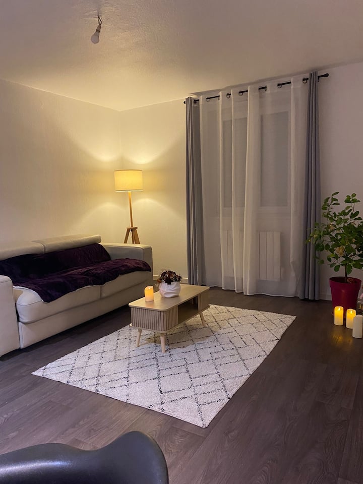 Appartement Pour 5 Personnes - Bischheim