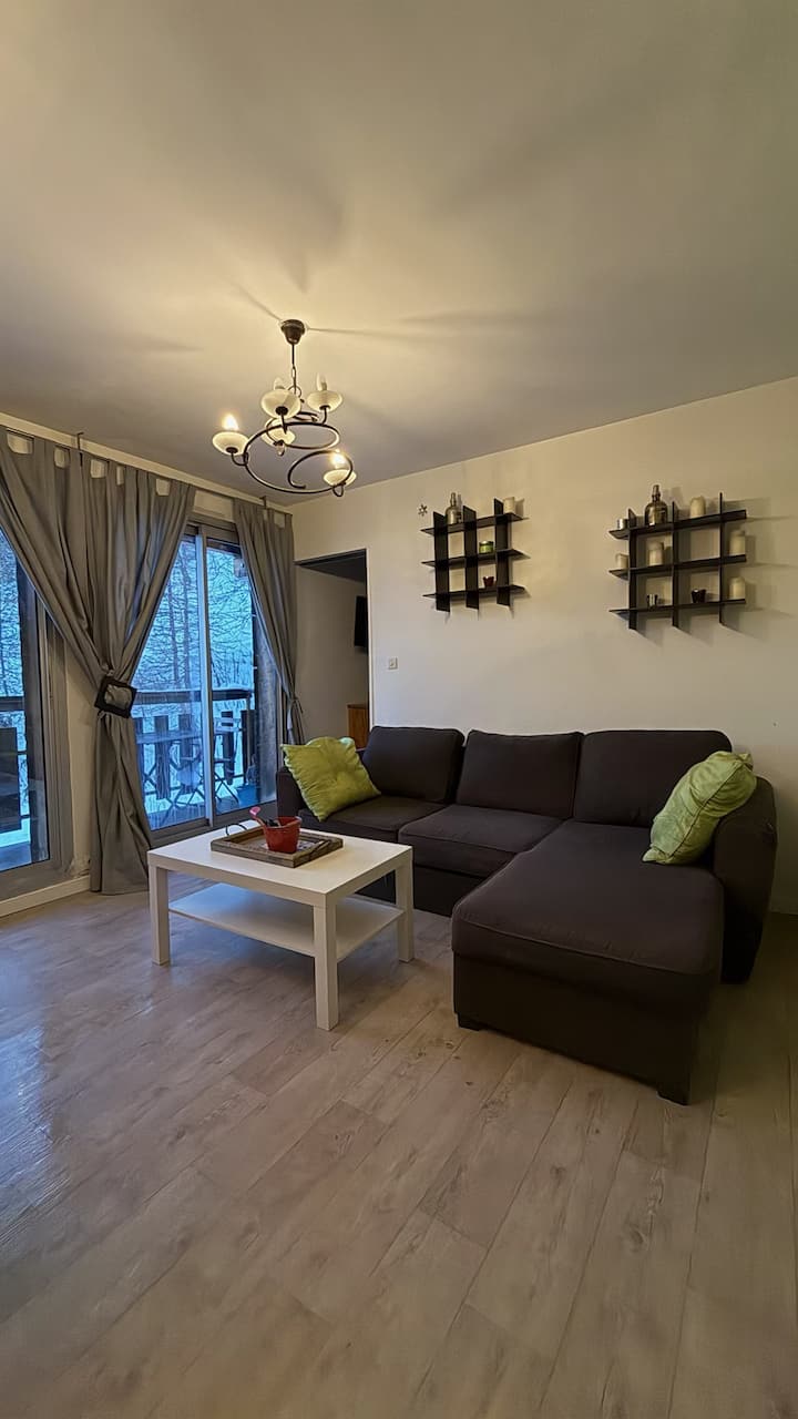 Plein Centre La Foux D'allos 8 Couchages Pk Privé - Allos