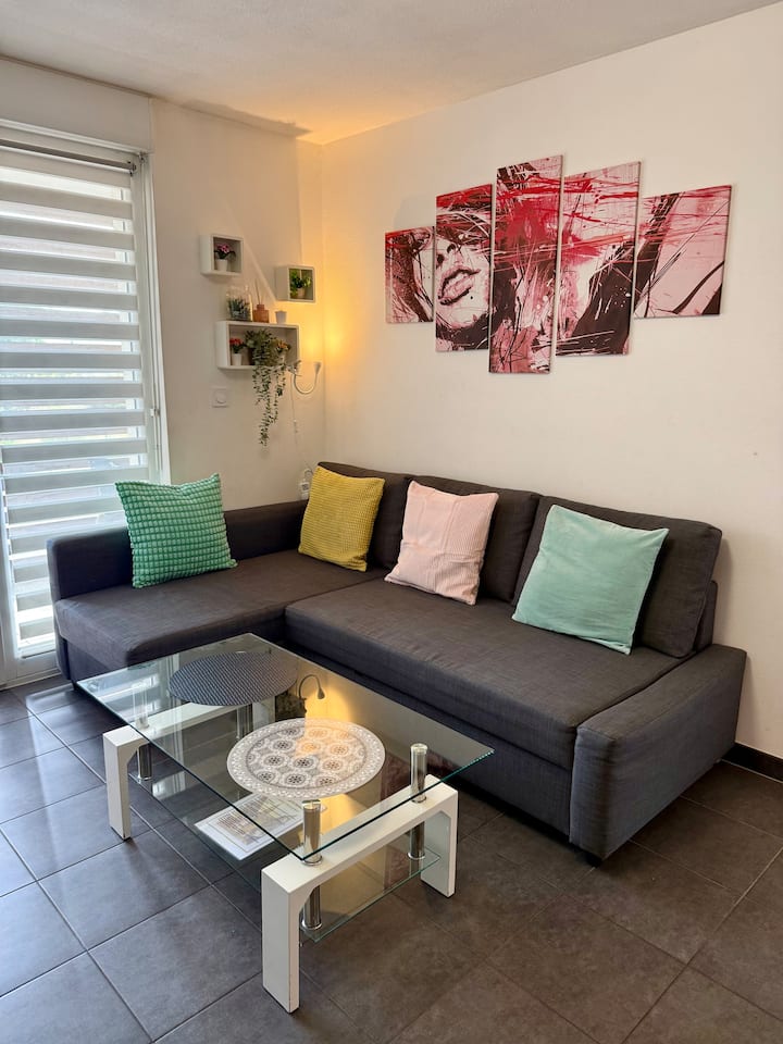 Appartement Chic, Terrasse & Parking Sécurisé - Hôpital de Hautepierre
