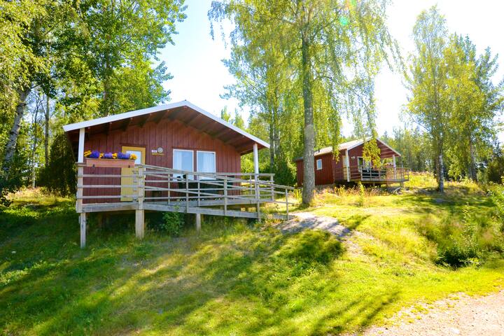 Rovfåglarna - Årjäng