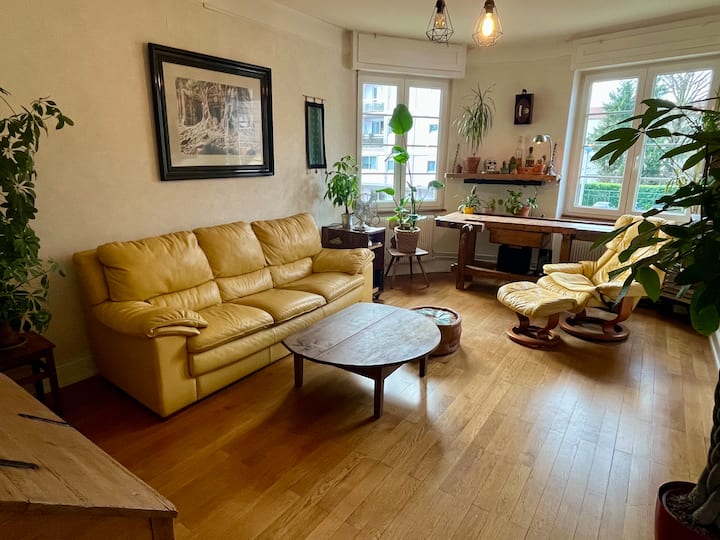 Le Spot Parfait Pour Chiller : Calme, Cosy, Relax - Schiltigheim