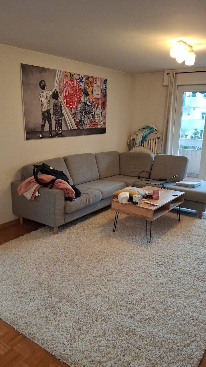 Cosy And Cute Apartment In The Heart Of Pully - Lausanne