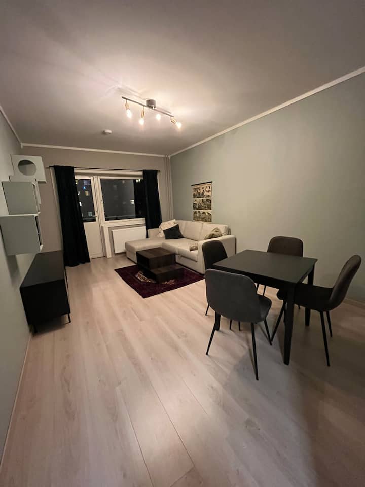 Sentral, Koselig 2-roms Med Plass Til 3 - Oslo