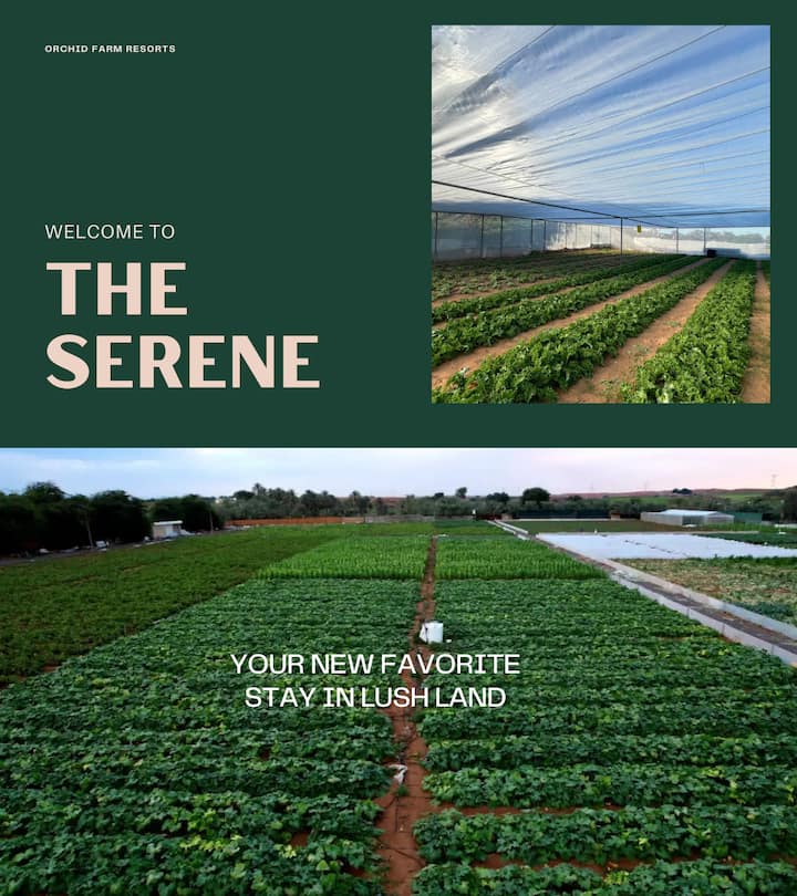 Rustic Farm In Ras Al Khaimah | Fishing &Farmfresh - Ras al Khaimah