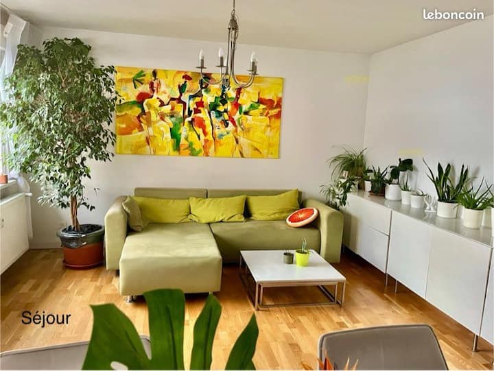 L'app. Green Est à 200m De L'arrêt Graviere Tram C - Bas-Rhin