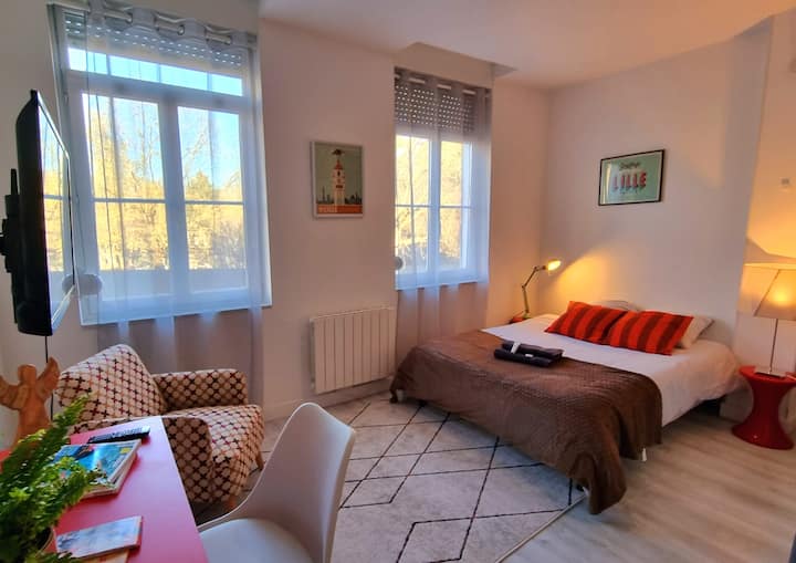 Lilly-tout à Pied, Proche Gares, Grd Palais&centre - リール