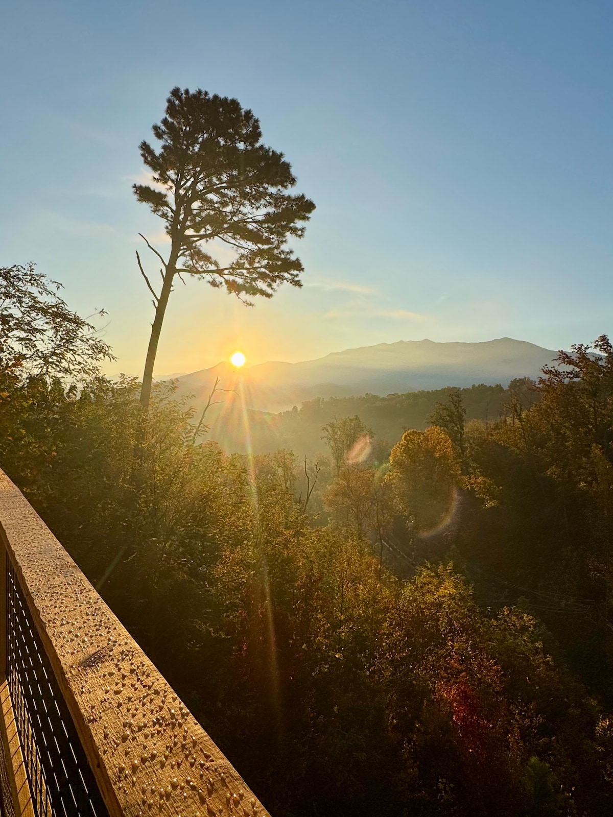 Epic views! 4 Masters, minutes from Gatlinburg/NP! - Cabins for Rent in ...