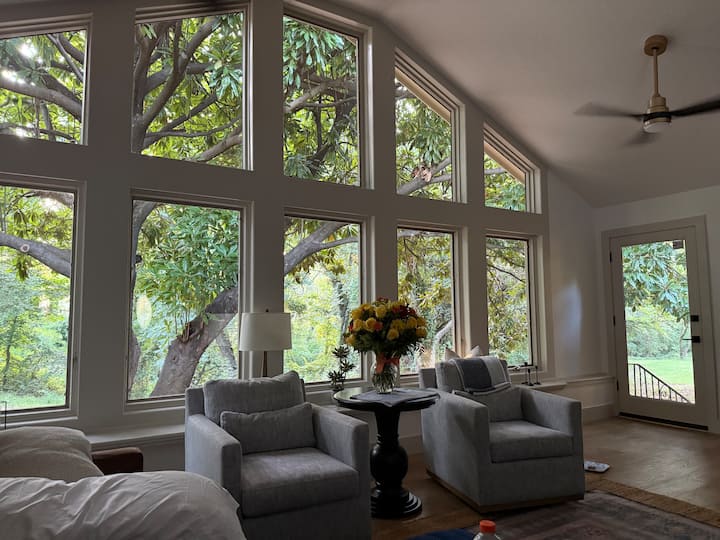 Sooner Magnolia - Norman, OK