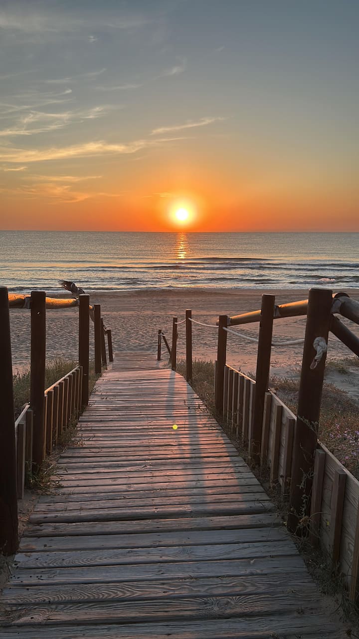 Oliva Sol Apartment - Oliva