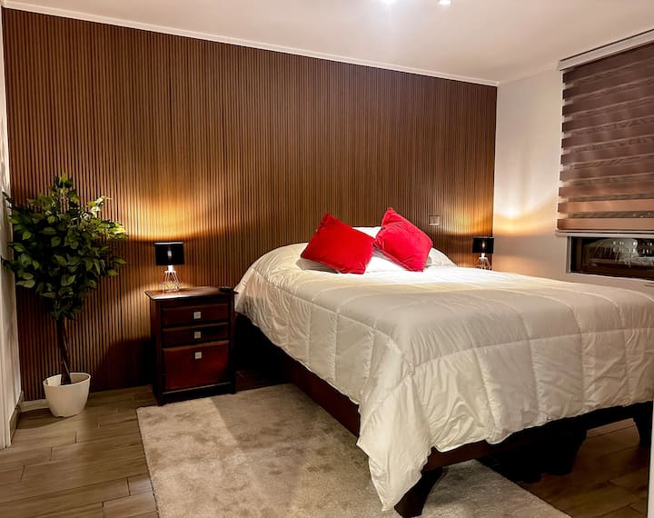 1 Dormitorio Barrio Italia - Santiago