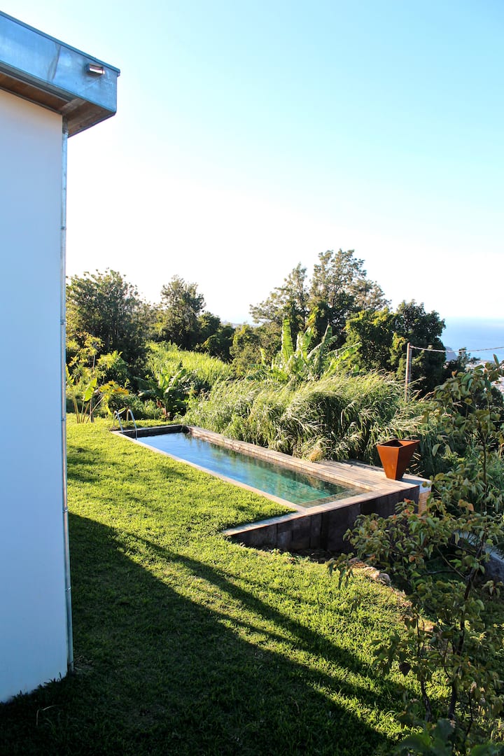 La Tortuga Dans Le Sud Sauvage - Saint-Joseph