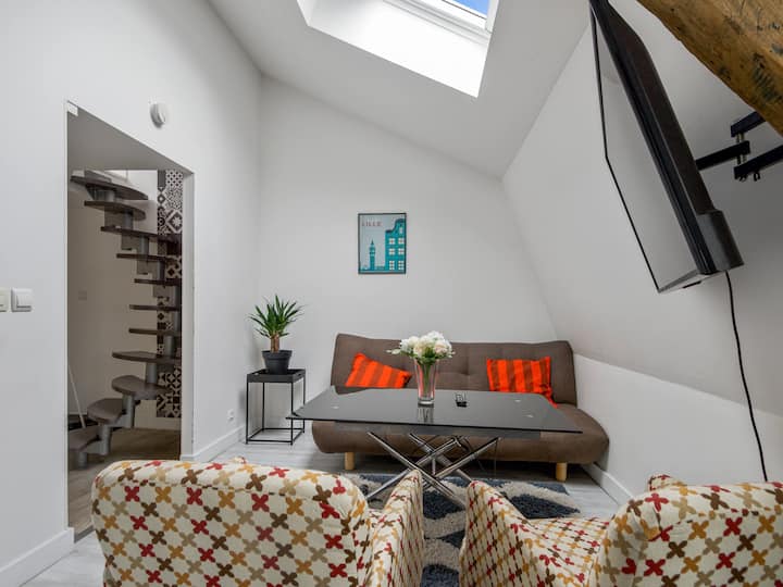 Daisy-gares, Grd Palais, Zénith&centre à Deux Pas - Lille