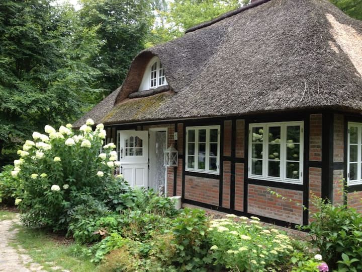 Ferienhaus Lütte Reetkate - Hammoor