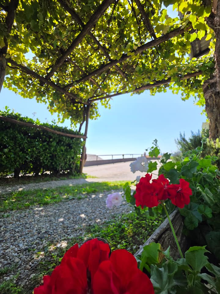 Casa Leyian - Free Parking - Ascona