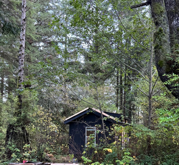 The Mossy Hideout Cabin - Klamath, CA