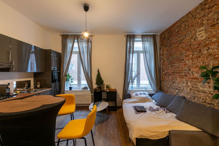 The Budget Studio Historic Center Of Liège - Liège